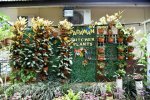 Things to do in Padawan, Kuching – Dayak Wanderer